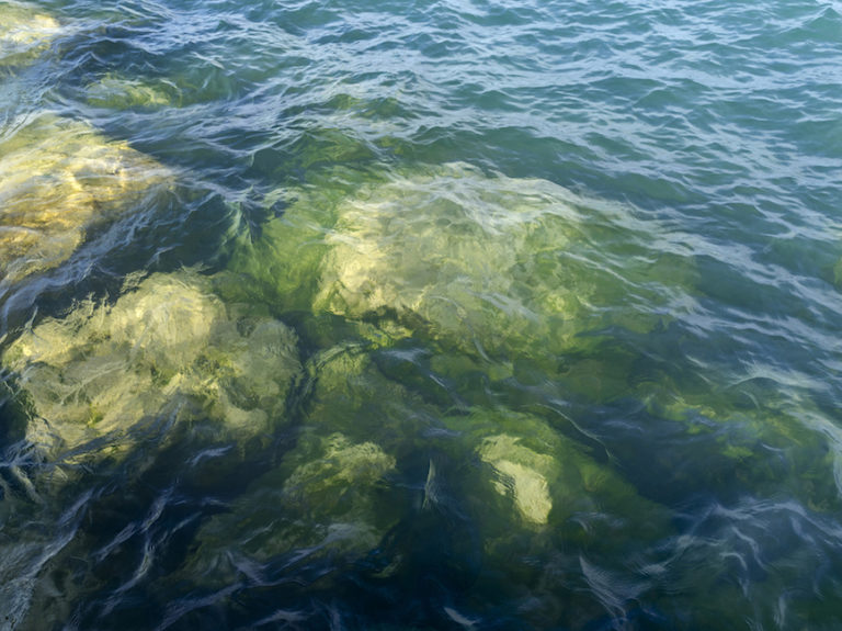 Rocks Submerged in the Lake, a photograph by Lincoln Schatz