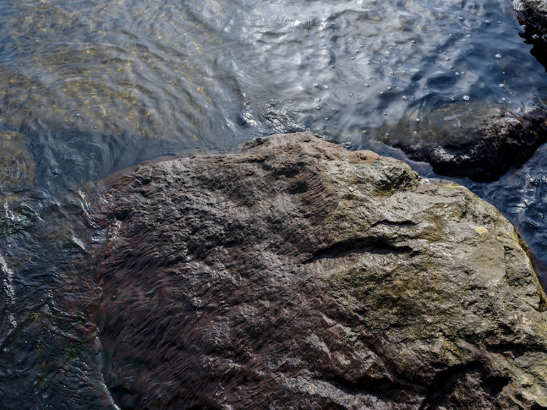 Rocks on Lake Michigan Shore Photos from Lincoln Schatz Studio
