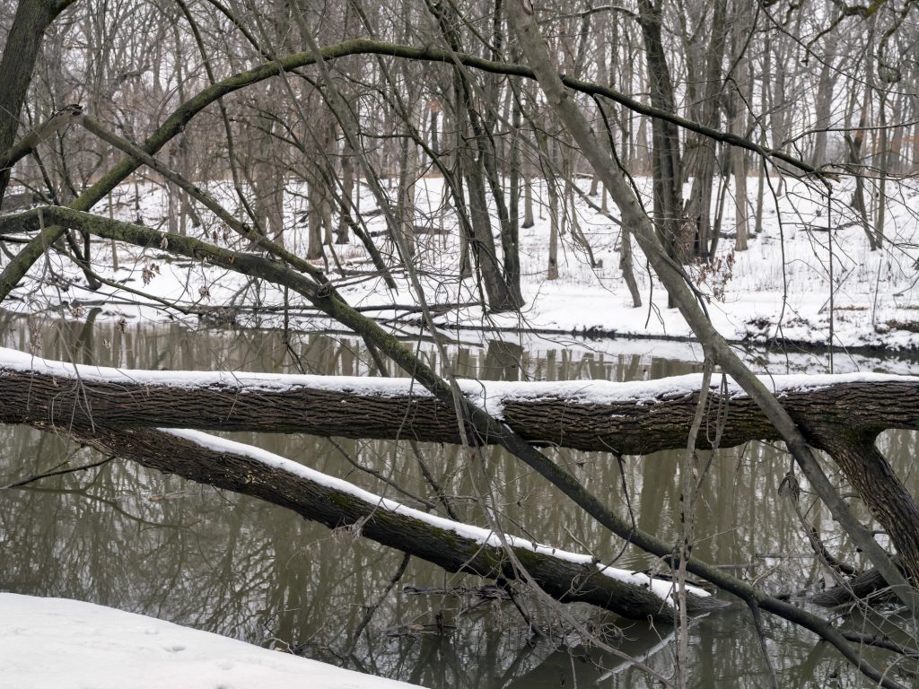 Winter River and Trees: From Lincoln Schatz Studio
