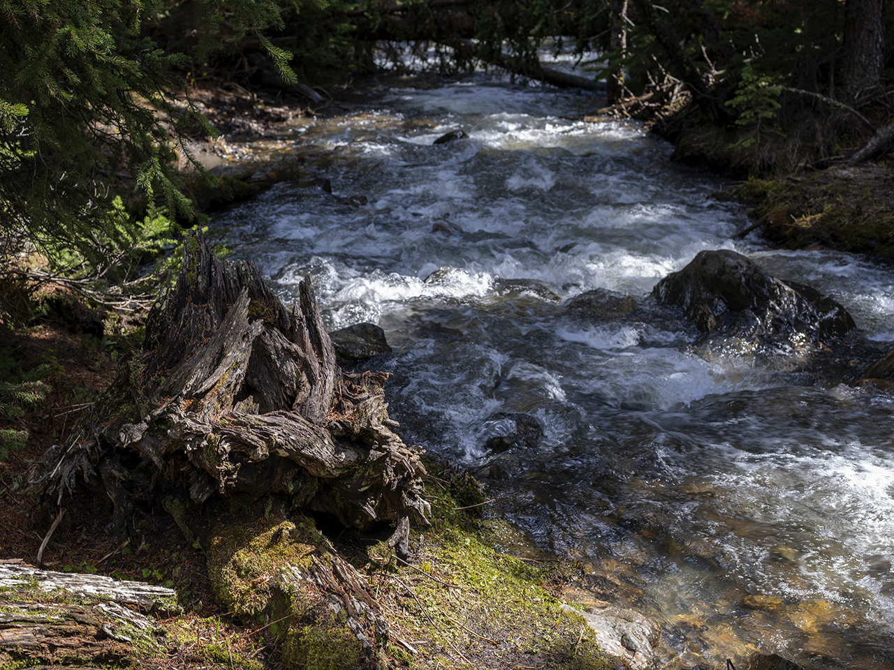 Montana Landscape Photography - Beehive Basin & Ousel Falls, Montana