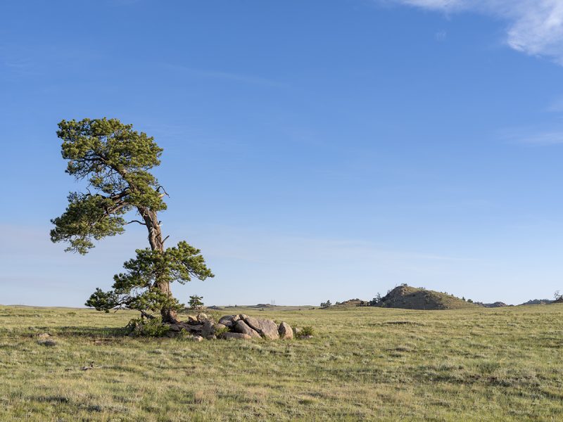 Windswept Grasslands, Wyoming Landscape Photography