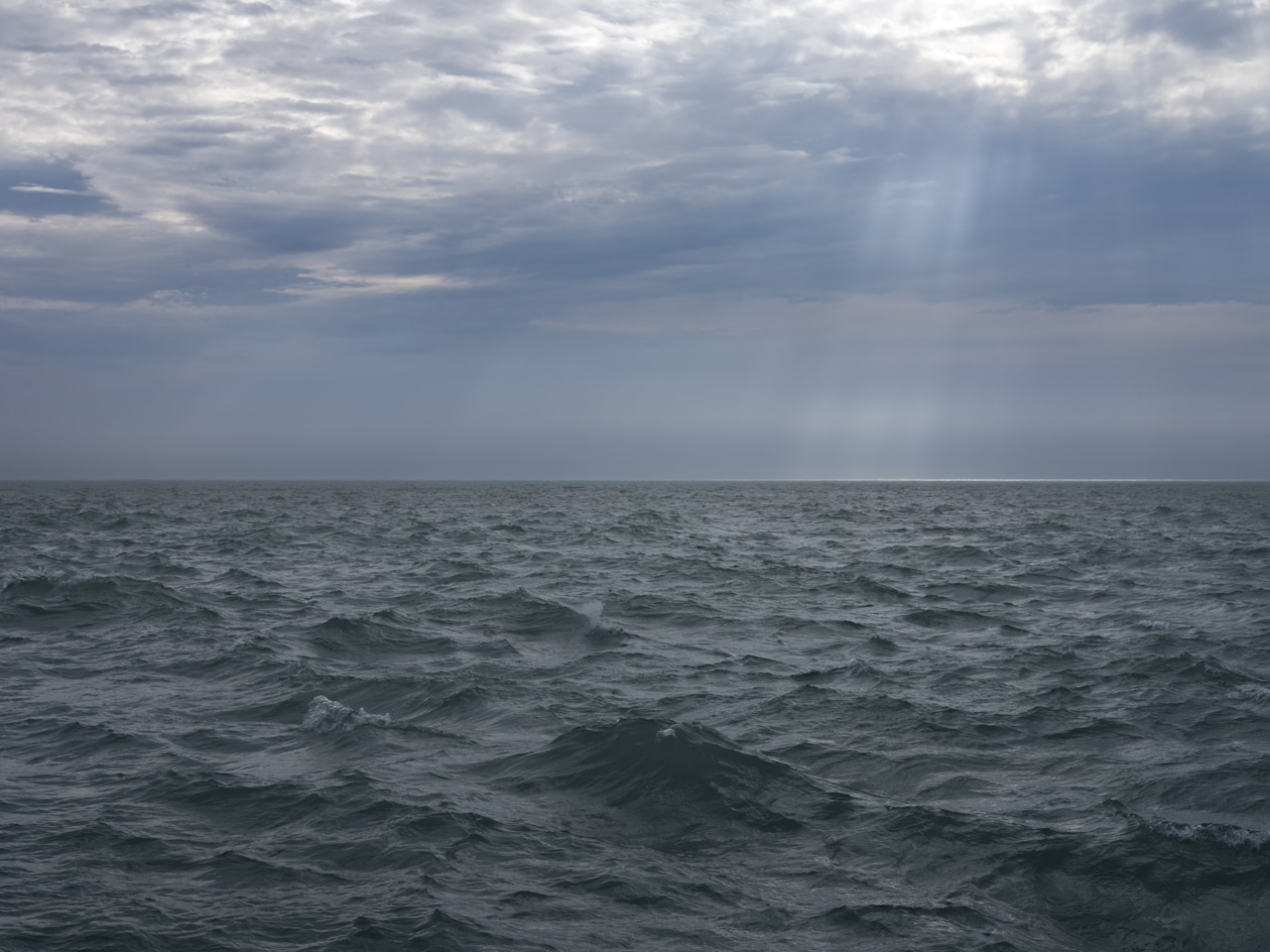 Lake Series, March 2022: Lake Photos by Lincoln Schatz