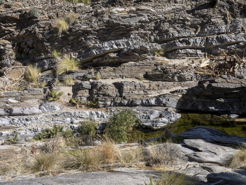 Geologic Compression: The Joshua Tree Edition