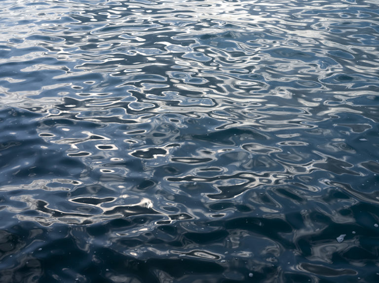 Lake Water Rolls
