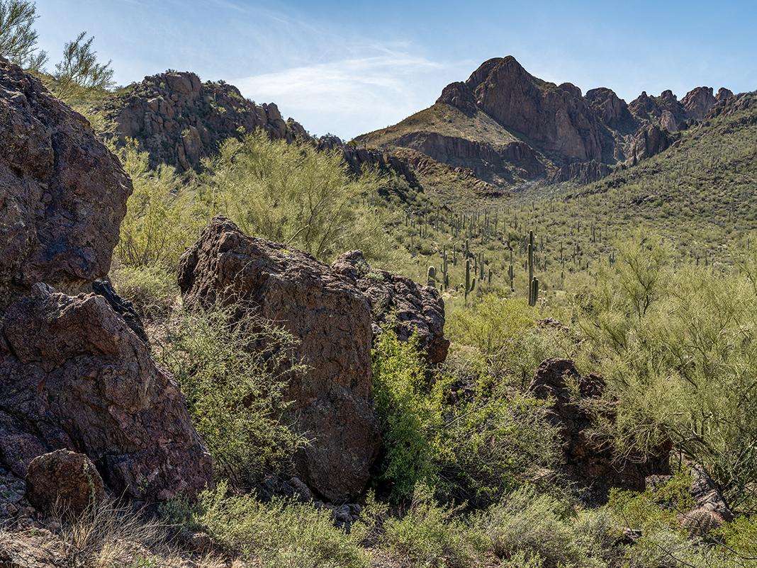 Sonoran Desert Resources