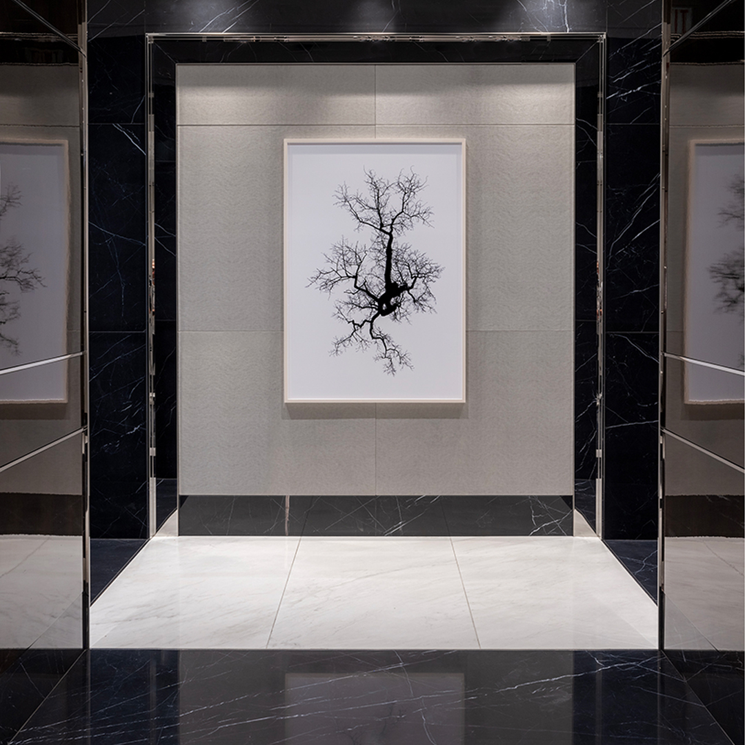 Print by Lincoln Schatz